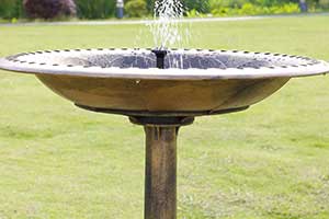 How Tall & How Deep Should a Bird Bath Be - a Complete Guide