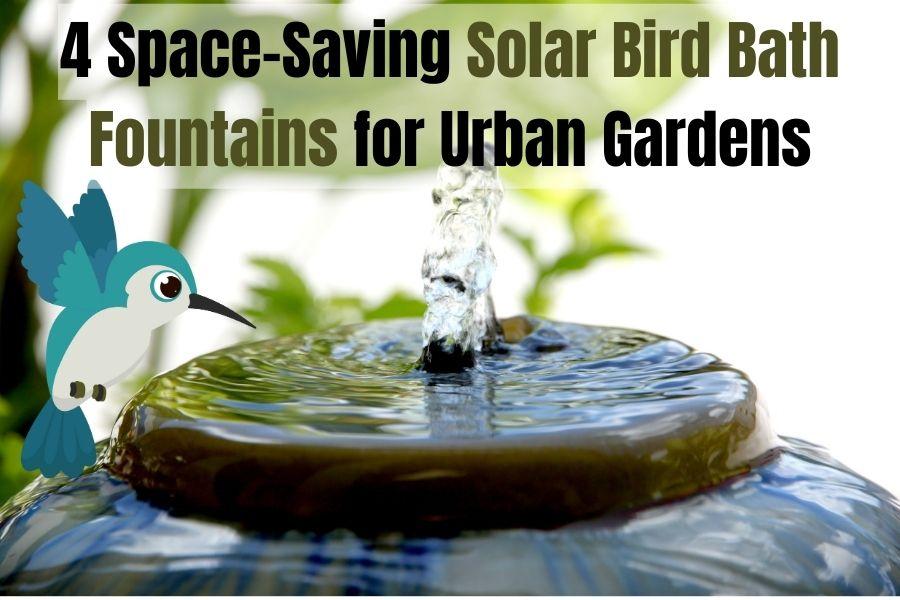 4 Space-Saving Solar Bird Bath Fountains for Urban Gardens